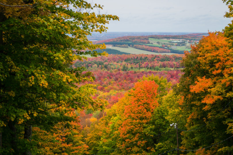 Regardez les couleurs d'automne prendre vie au Québec | Busbud blog